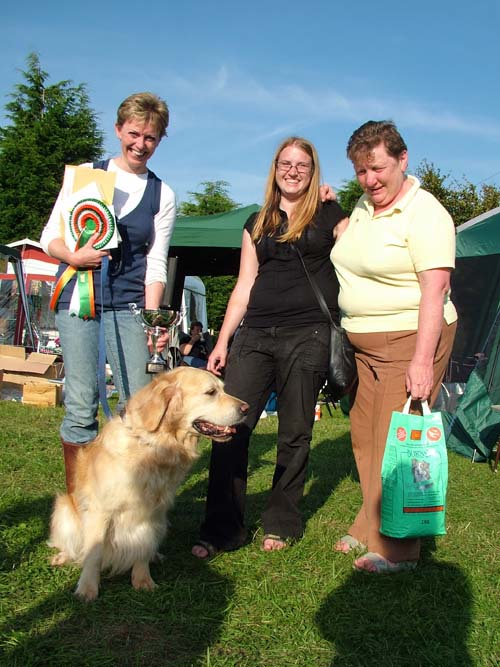 2008 Reunion – Irish Retriever Rescue